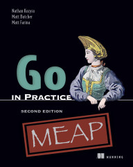 Get Programming with Go