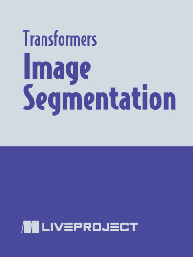 Transformers and Explainable AI for Computer Vision - Anuradha Kar