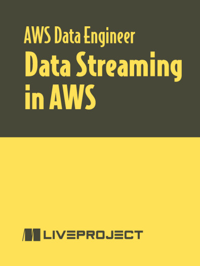 Become a Data Engineer with AWS - Mike Shakhomirov