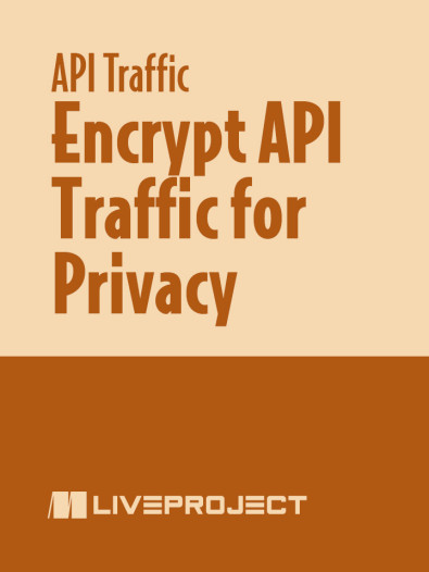 Encrypt API Traffic and Rate-limit Data Requests - Sashank Dara