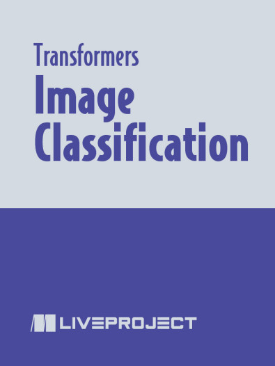 Transformers and Explainable AI for Computer Vision - Anuradha Kar