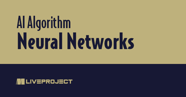 Neural Networks - Rod Stephens