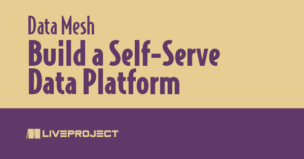 Build a Self-Serve Data Platform - Sven Balnojan