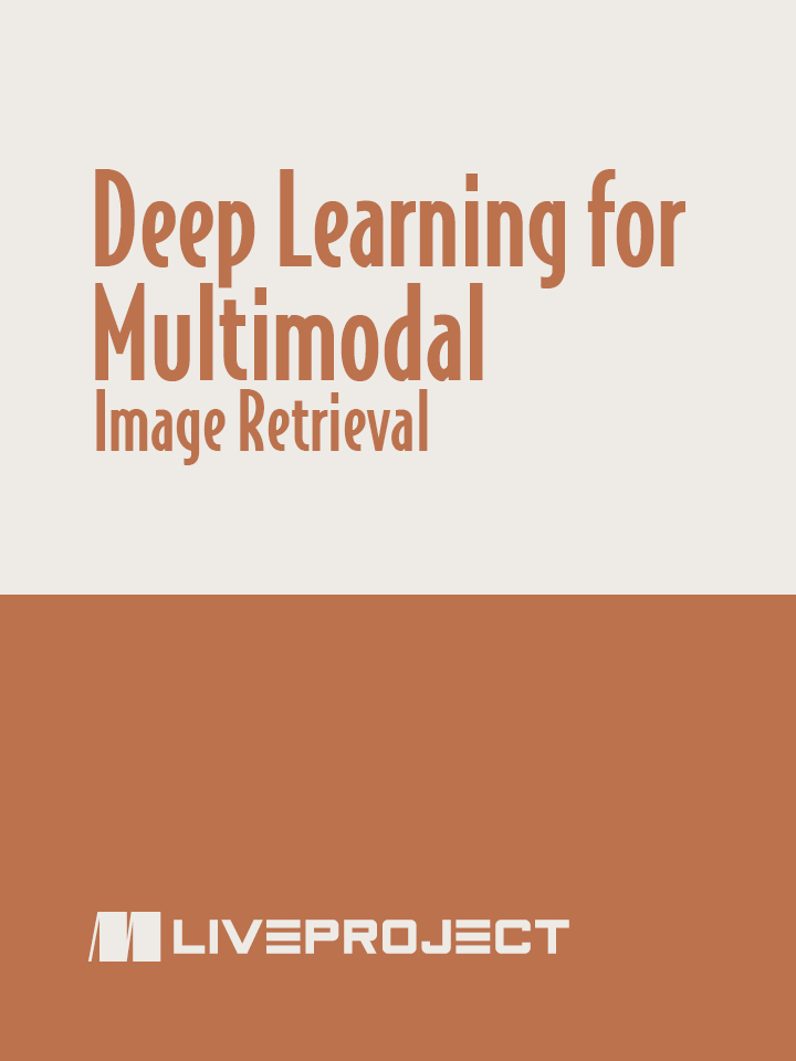 Deep Learning for Multimodal Image Retrieval - Raul Gomez