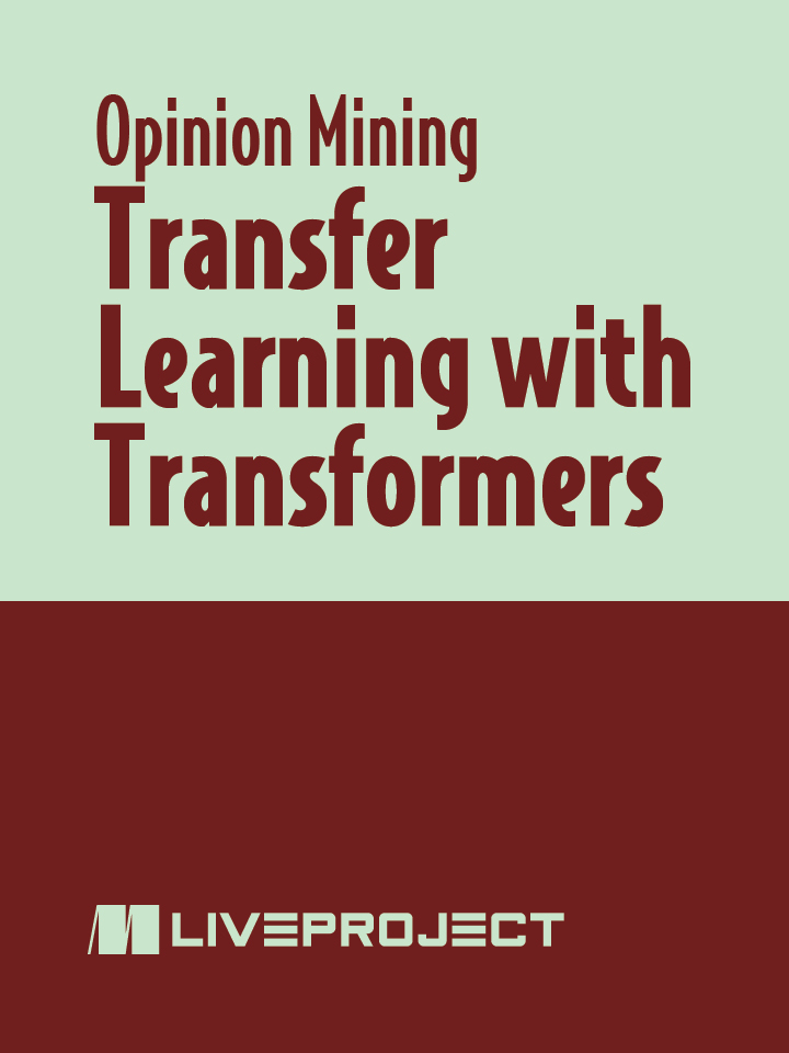 Transfer Learning with Transformers - Winnie Yeung and Eyan Yeung