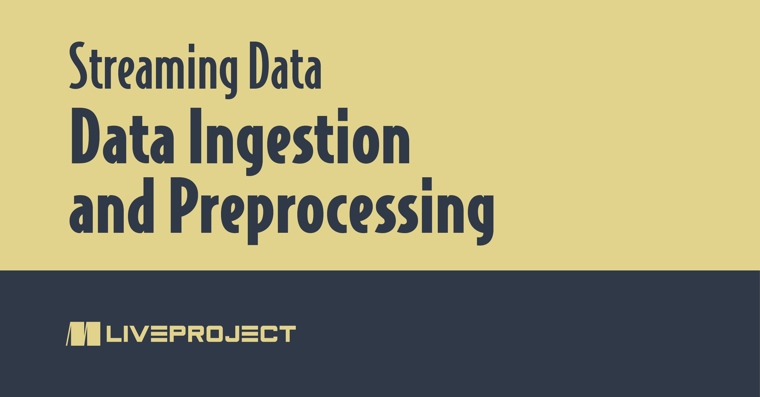 Data Ingestion and Preprocessing - Gianluigi Mucciolo