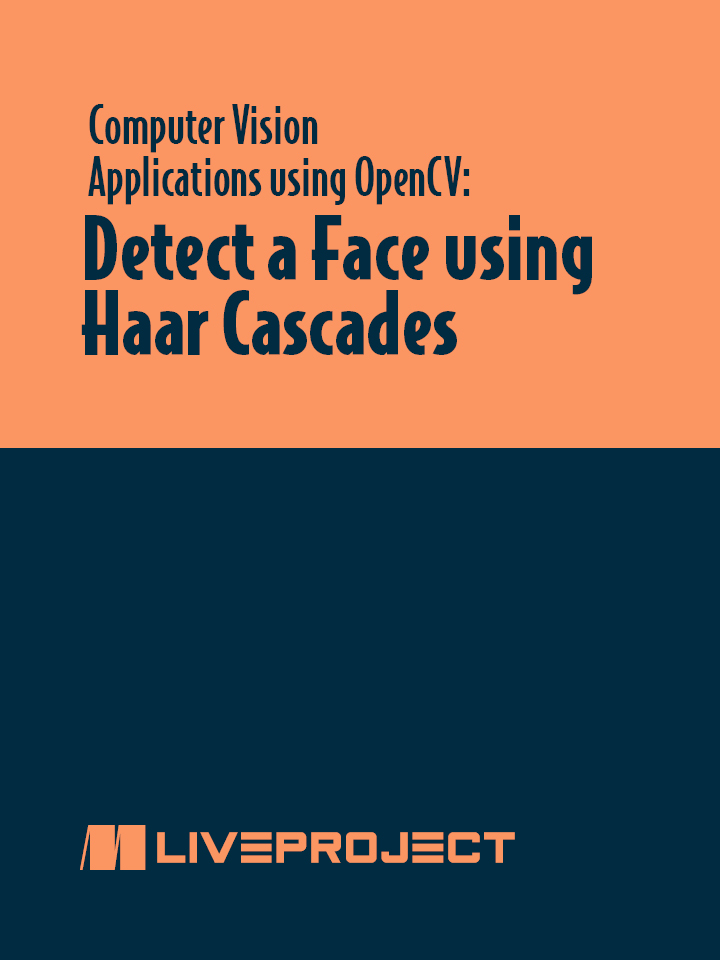 Detect a Face Using Haar Cascades - Vishwesh Shrimali