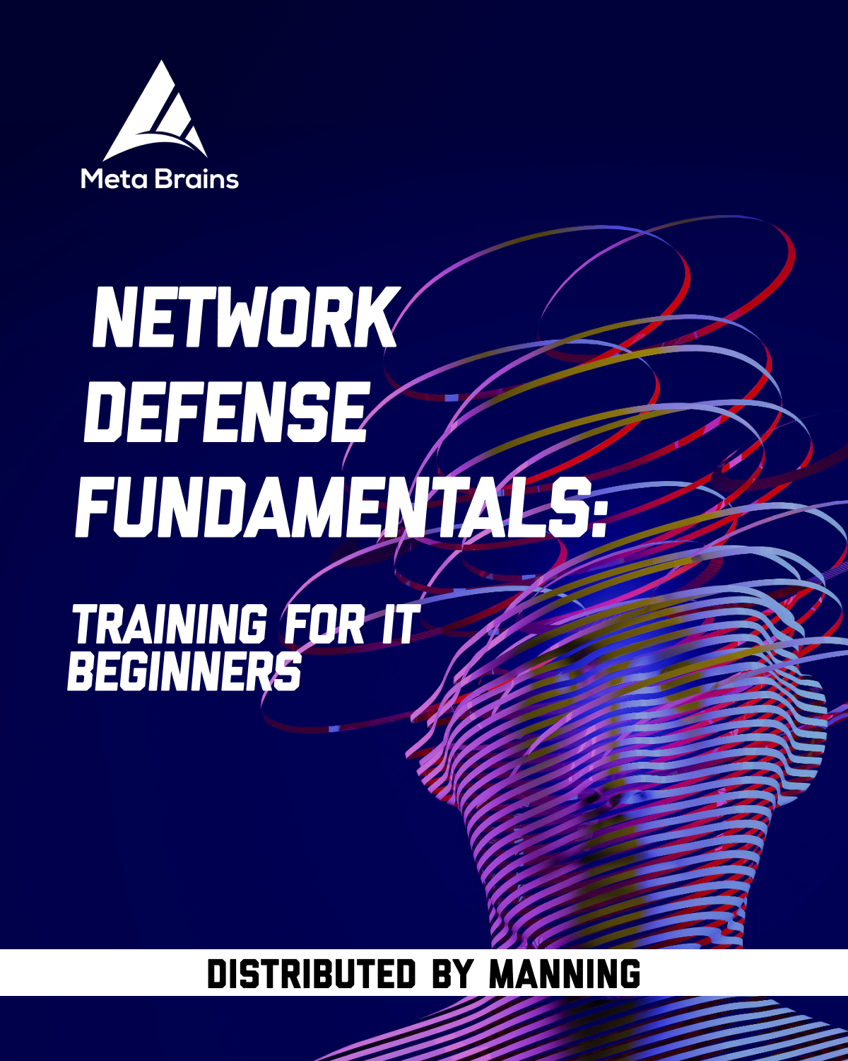 Network Defense Fundamentals: Training for IT beginners - Meta Brains